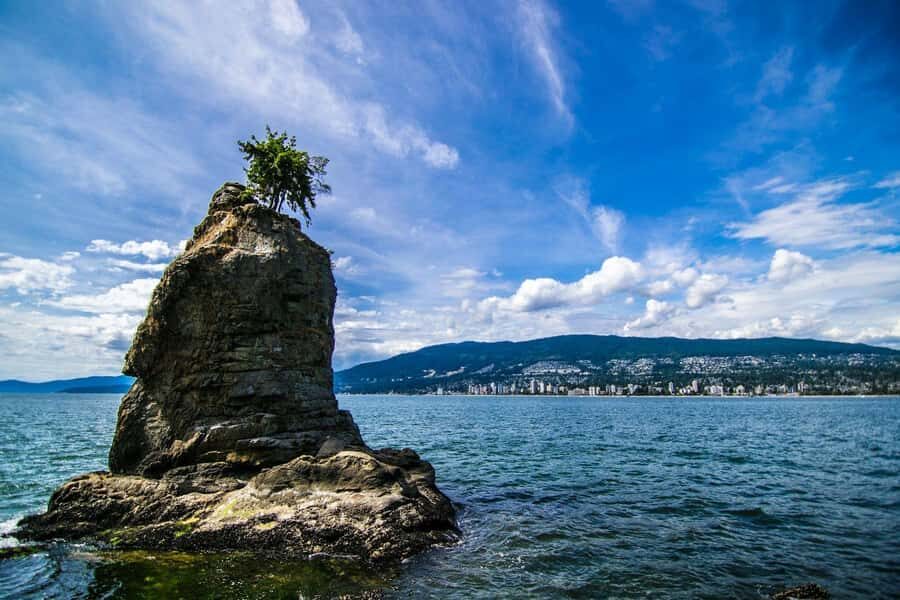 Vancouver Aquarium Entry & Digital Stanley Park Walk - Who Should Consider This Experience?