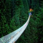Vancouver: Capilano Bridge & Granville Island Highlights - Practical Details and What to Expect