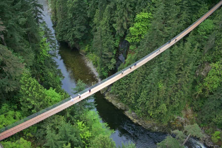 Vancouver: Capilano Bridge, Grouse Mountain & Aquabus Tour - An In-Depth Look at the Tour
