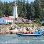 Vancouver: City and Seals Boat Tour - Who Is This Tour Best For?