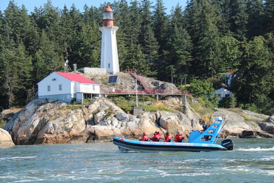 Vancouver: City and Seals Boat Tour - Who Is This Tour Best For?