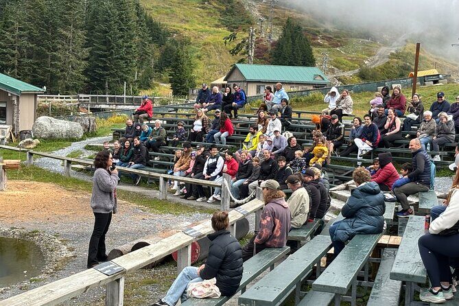 Vancouver City Tour with Food Tasting and Pickup - A Closer Look at the Itinerary and What to Expect