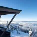 Vancouver Grouse Mountain and Granville Island Tour - Who Will Love This Tour?