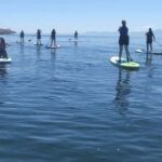 Vancouver Island: Marine Ecological Tour with Mer Tales - The Marine Ecosystems & Wildlife Encounters