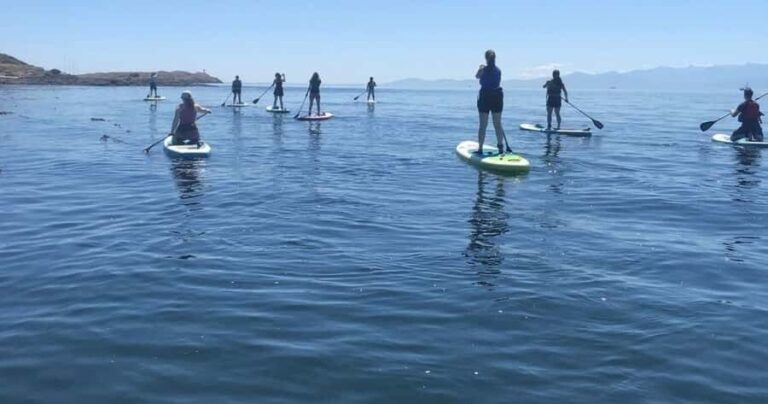 Vancouver Island: Marine Ecological Tour with Mer Tales - The Marine Ecosystems & Wildlife Encounters