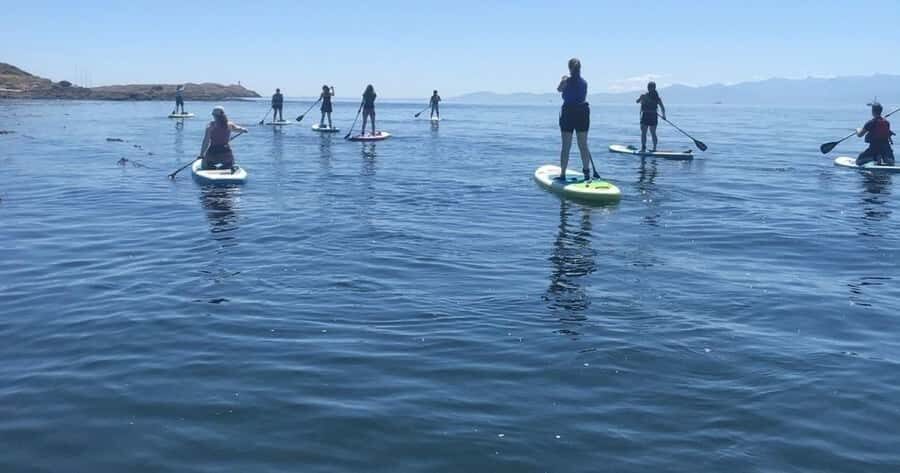 Vancouver Island: Marine Ecological Tour with Mer Tales - The Marine Ecosystems & Wildlife Encounters
