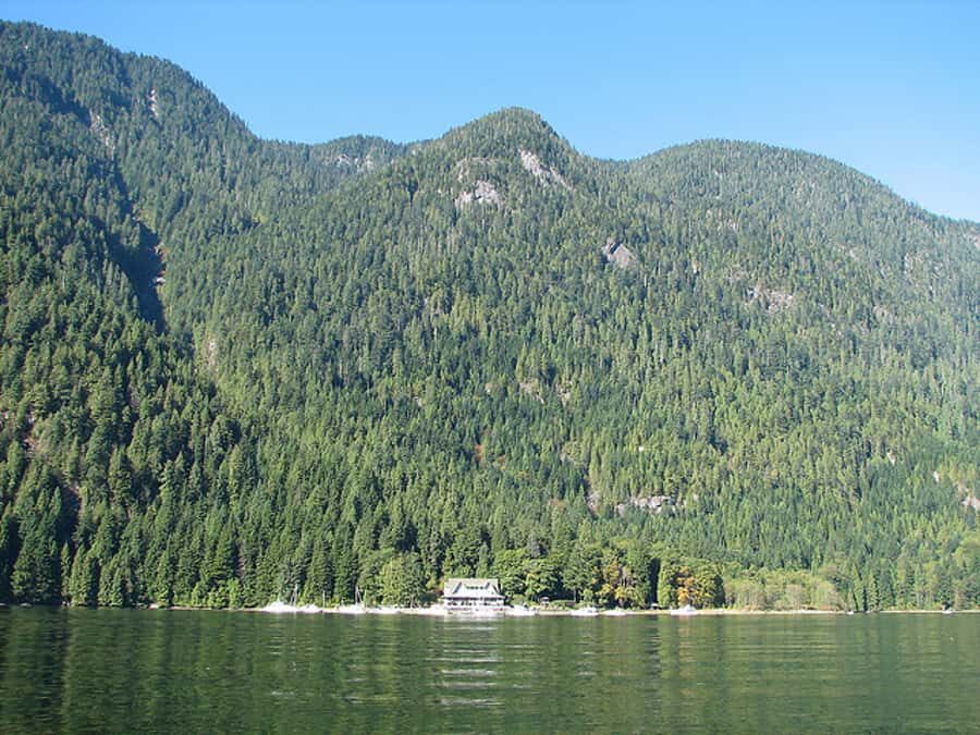 Vancouver: Lunch and Brunch Cruises - Wildlife and Nature Watching