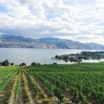 Vancouver: Private Kelowna Wine Country & Bike Tour - Practical Considerations