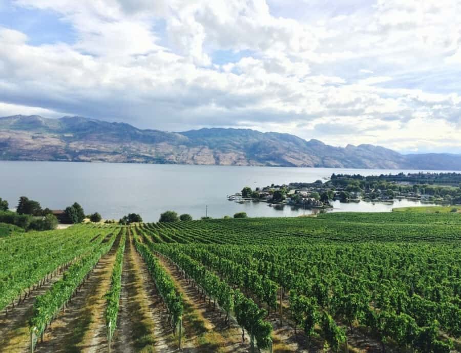 Vancouver: Private Kelowna Wine Country & Bike Tour - Practical Considerations