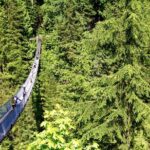 Vancouver: Ultimate City Highlights Tour - What We Love About This Tour