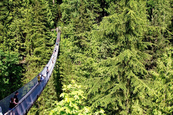 Vancouver: Ultimate City Highlights Tour - What We Love About This Tour