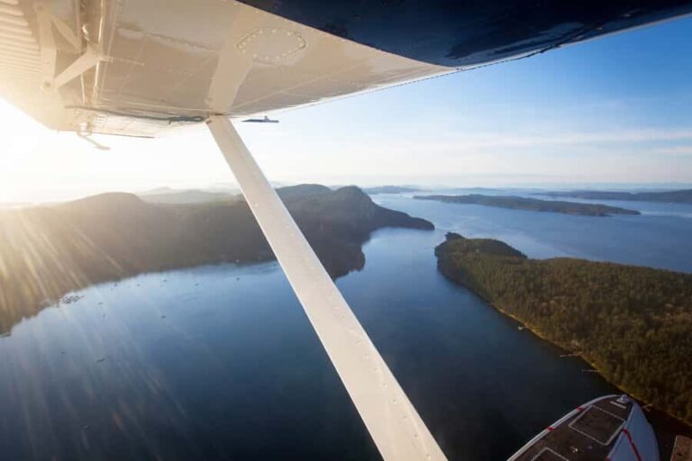Vancouver: Victoria Day Trip by Seaplane and Whale Watching - Practical Details and Tips