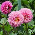 Vancouver: Whistler Day Trip with Sea to Sky Gondola Ride - Detailed Breakdown of the Itinerary