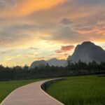 Vang Vieng Cloud Walk:Hot Air Balloon and Paragliding Flight - Who Will Love This Tour?