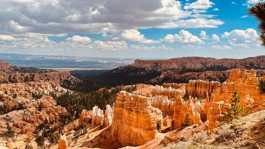 Vegas: Grand Canyon, Bryce & Zion: 3Park Experience - Practical Tips for Future Travelers