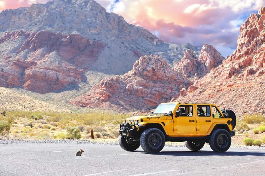 Vegas Iconic Road Trips: Zion - Who Will Love This Experience?