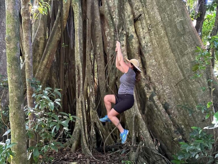 Vermont Nature Trail and Bird Watching Tour - An In-Depth Look at the Vermont Nature Trail and Bird Watching Experience