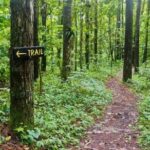 Vermont Nature Trail Tour - The Sum Up: Is It Worth It?