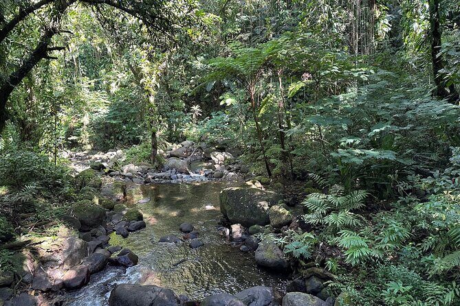 Vermont Nature Trail with Topdawg Taxi and Tours - Final Thoughts: Worth Your Time and Money