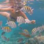 Vi Top Taxi &Tours USVI-Coki Beach Snorkeling Tour - An In-Depth Look at the Tour Experience