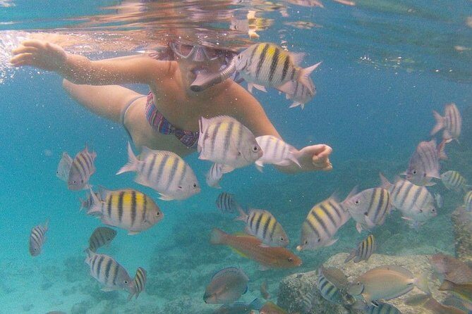 Vi Top Taxi &Tours USVI-Coki Beach Snorkeling Tour - An In-Depth Look at the Tour Experience