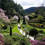 Victoria Day Trip with BC Ferries, Butchart Gardens & Downtown - What Travelers Are Saying