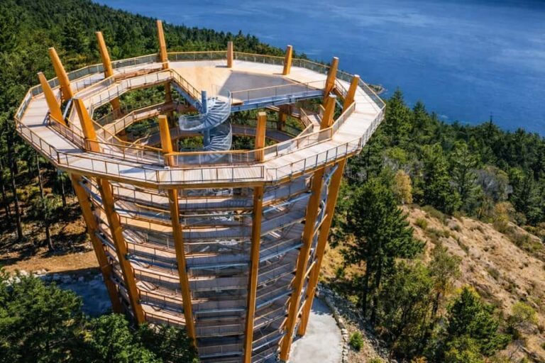 Victoria: Malahat SkyWalk, Castle, and Wharf Tour - A Detailed Look at the Itinerary