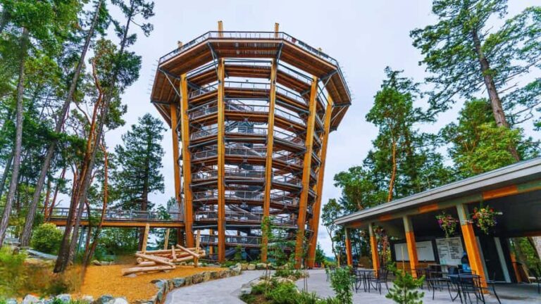 Victoria: Malahat Skywalk & Iconic Landmark Tour - Why Choose This Tour?