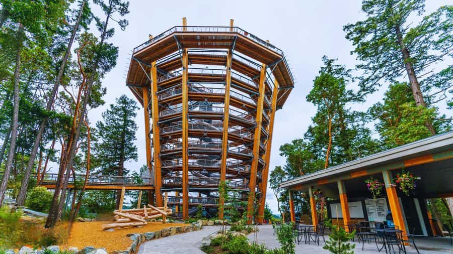 Victoria: Malahat Skywalk & Iconic Landmark Tour - Why Choose This Tour?