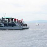 Victoria: Winter Wildlife Tour with Hot Drinks - The Guides and Their Expertise