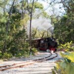 Victorian Steam Railway Short Journey Great House and Distillery - The Experience for Different Types of Travelers