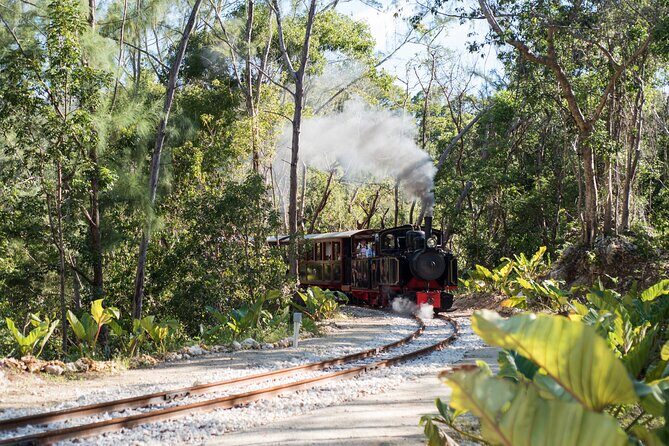 Victorian Steam Railway Short Journey Great House and Distillery - The Experience for Different Types of Travelers
