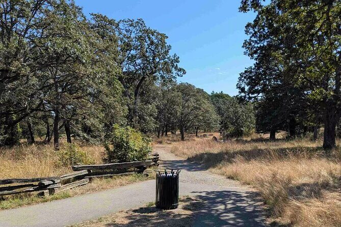 Victorias Historic Heights: An Audio Tour Through Beacon Hill - The Practical Side: What to Expect