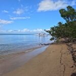 Vieques All-Inclusive: Swim with Turtles & Enjoy Pristine Beaches - The Itinerary in Detail