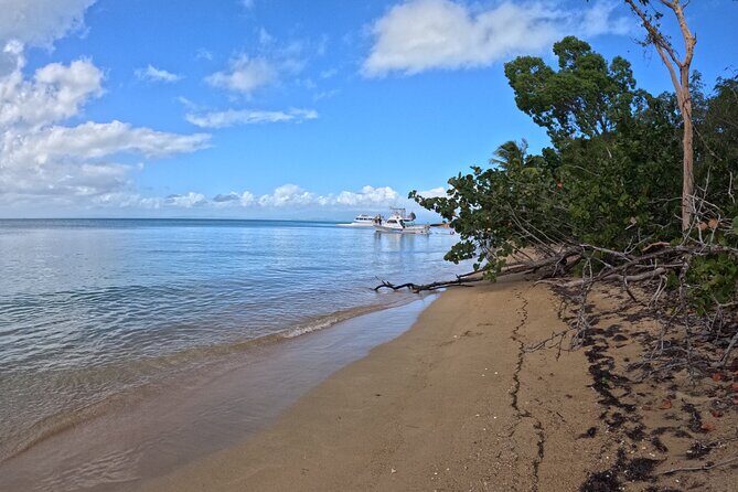 Vieques All-Inclusive: Swim with Turtles & Enjoy Pristine Beaches - The Itinerary in Detail