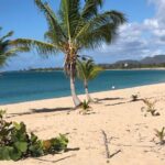 Vieques Island Rich History Tour - Authentic Insights from Past Travelers