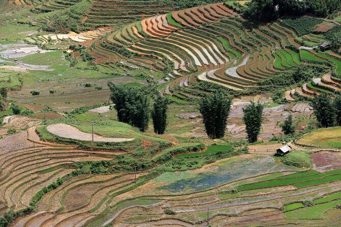 Vietnam: 14-Day Culinary Tour with Cooking Classes - Practical Details: Transportation, Accommodation, and Cost