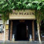 Vietnam: Fito Museum Featuring Traditional Medicine - Real Traveler Insights