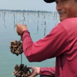 Vietnam/Lang Co Oyster Tour by Fishing & Tasting Oyster Flavors - An In-Depth Look at the Tour Experience