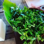 Village Cooking Class With Experienced Chef - Detailed Breakdown of the Itinerary