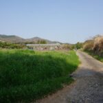 Village to village walk: Japan's oldest road, Yamanobe ancient trail (Private) - What Makes This Tour Stand Out?