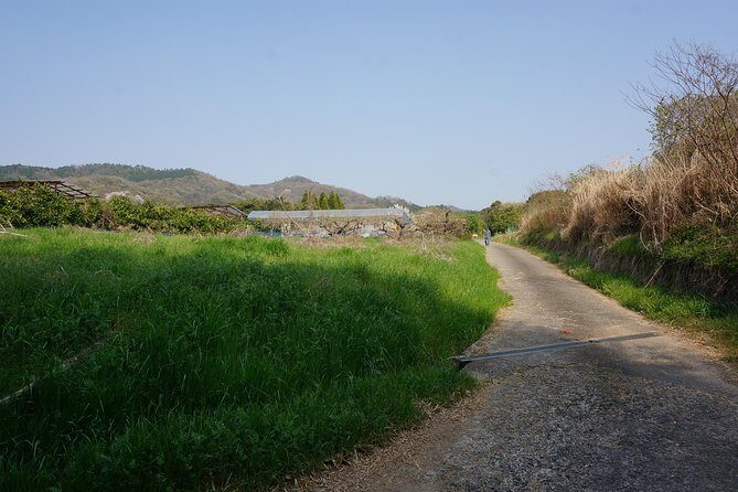 Village to village walk: Japan's oldest road, Yamanobe ancient trail (Private) - What Makes This Tour Stand Out?