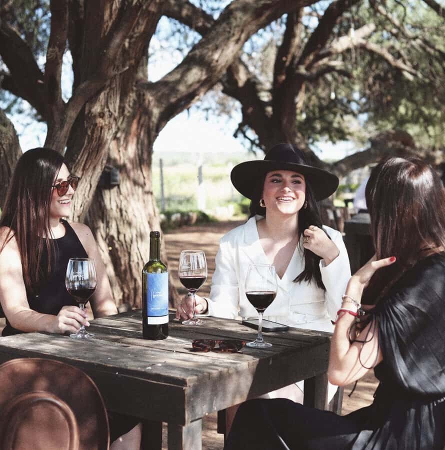 VINEYARD TOUR - What the Reviews Say