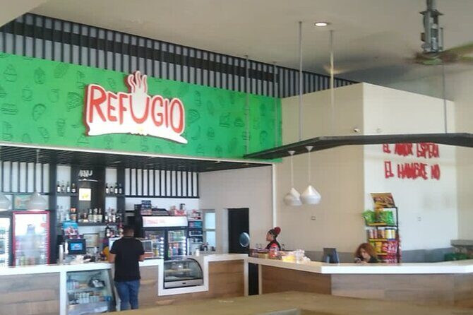 VIP and Luxury Transfert from Punta CanaAirport - The Vehicle and Service Quality