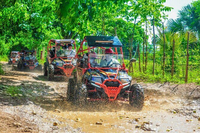 VIP Buggy Adventure Offroad to Macau Beach - What the Tour Includes and What You Should Know
