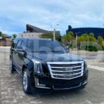 Vip Cadillac transportation in Punta Cana-BAVARO ROUNDTRIP - The Departure Experience: Ending on a High Note