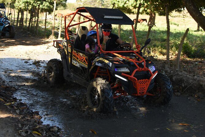 VIP Caribbean Terracross with Macao Beach and Cave - The Value of This Adventure