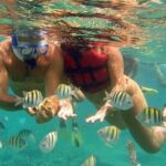 VIP Catamaran with Snorkeling - The Pros and Cons
