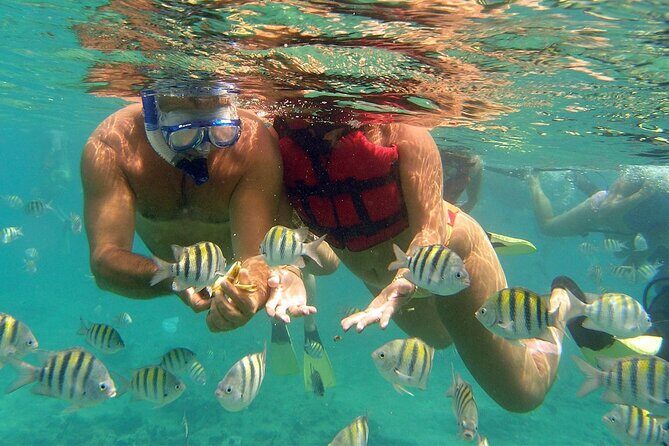 VIP Catamaran with Snorkeling - The Pros and Cons