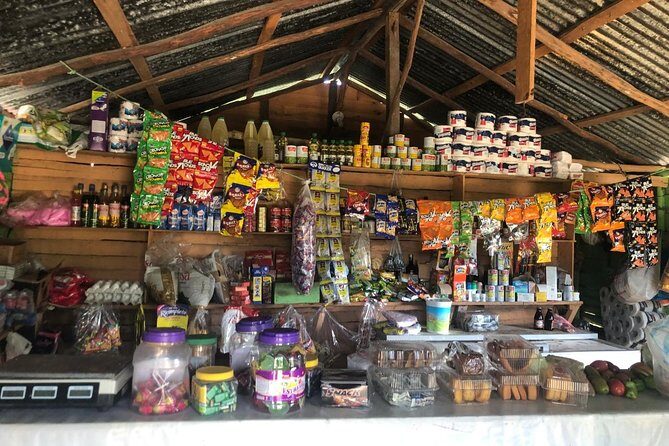 VIP DayPass: ATV, ZipLine, Horse Riding / Shore Excursion & Hotel - What the Reviews Say